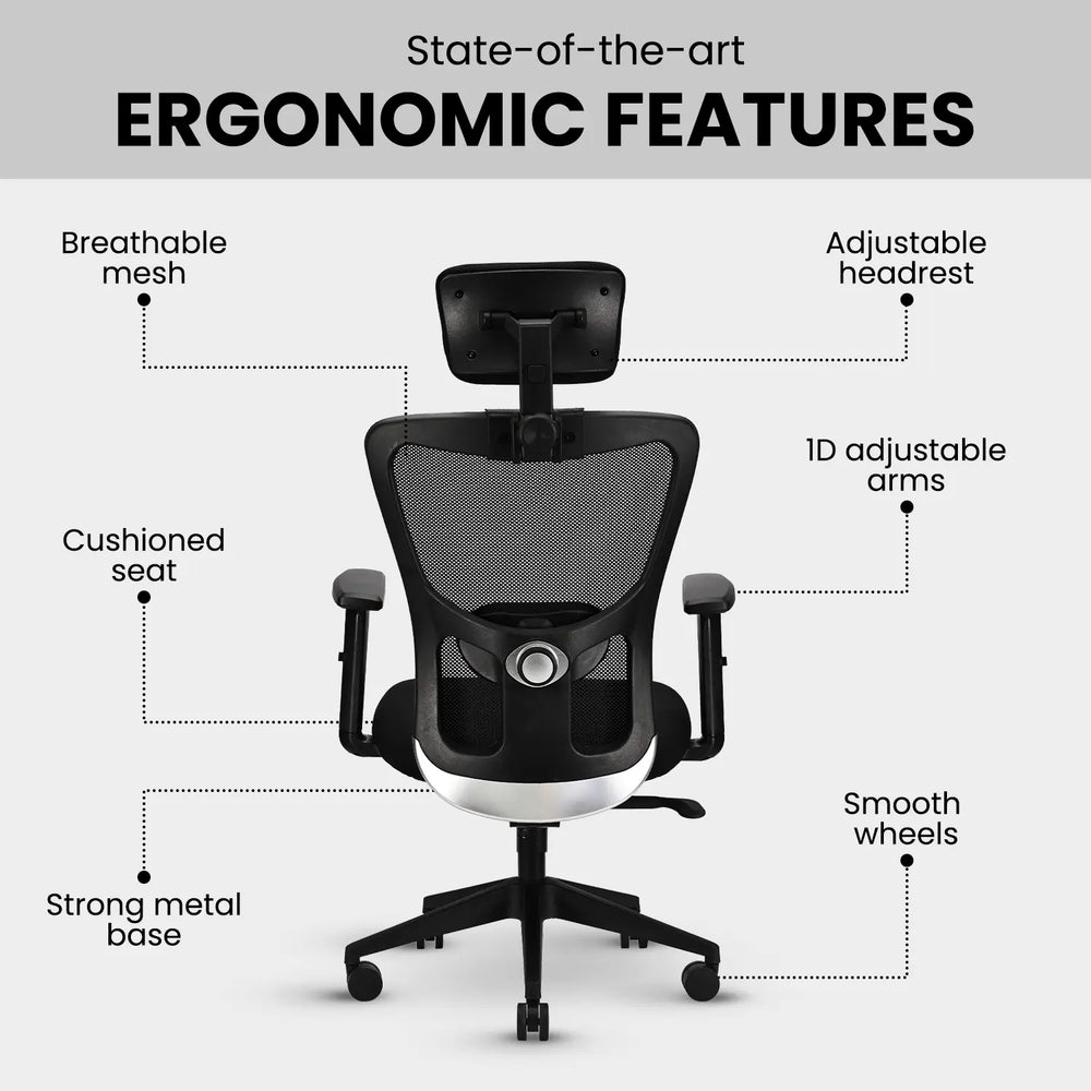 Top 10 Best Ergonomic Office Chairs India 2025